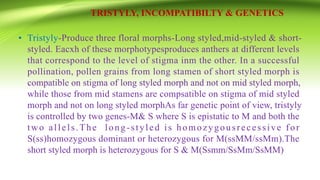 Self incompatibility in Flowers of Angiosperms | PDF