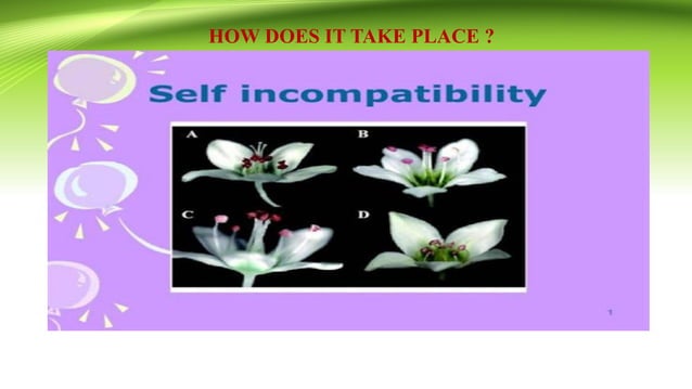 Self incompatibility in Flowers of Angiosperms | PPT