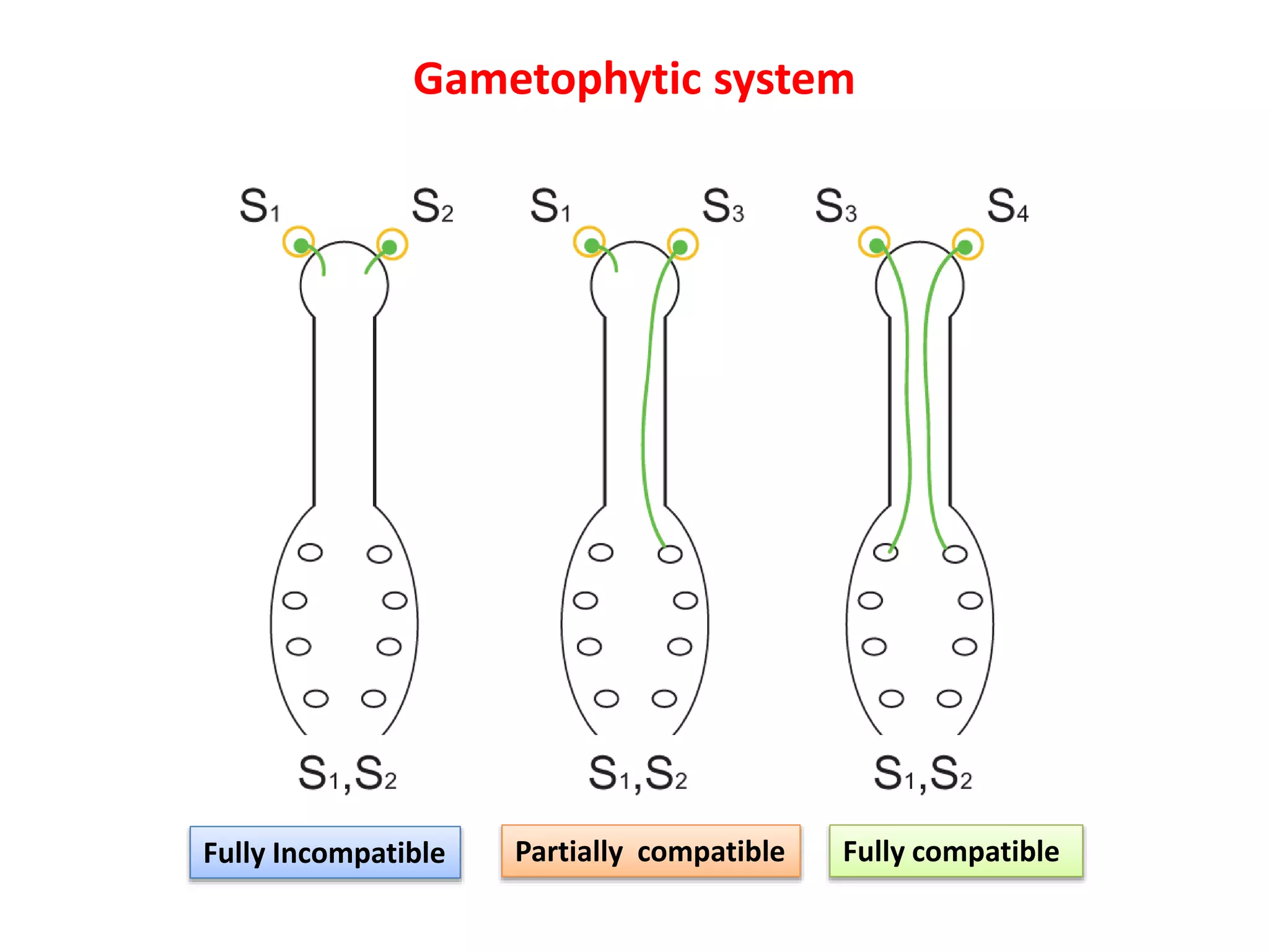 Self incompatibility.ppt