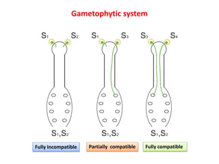 Self incompatibility.ppt