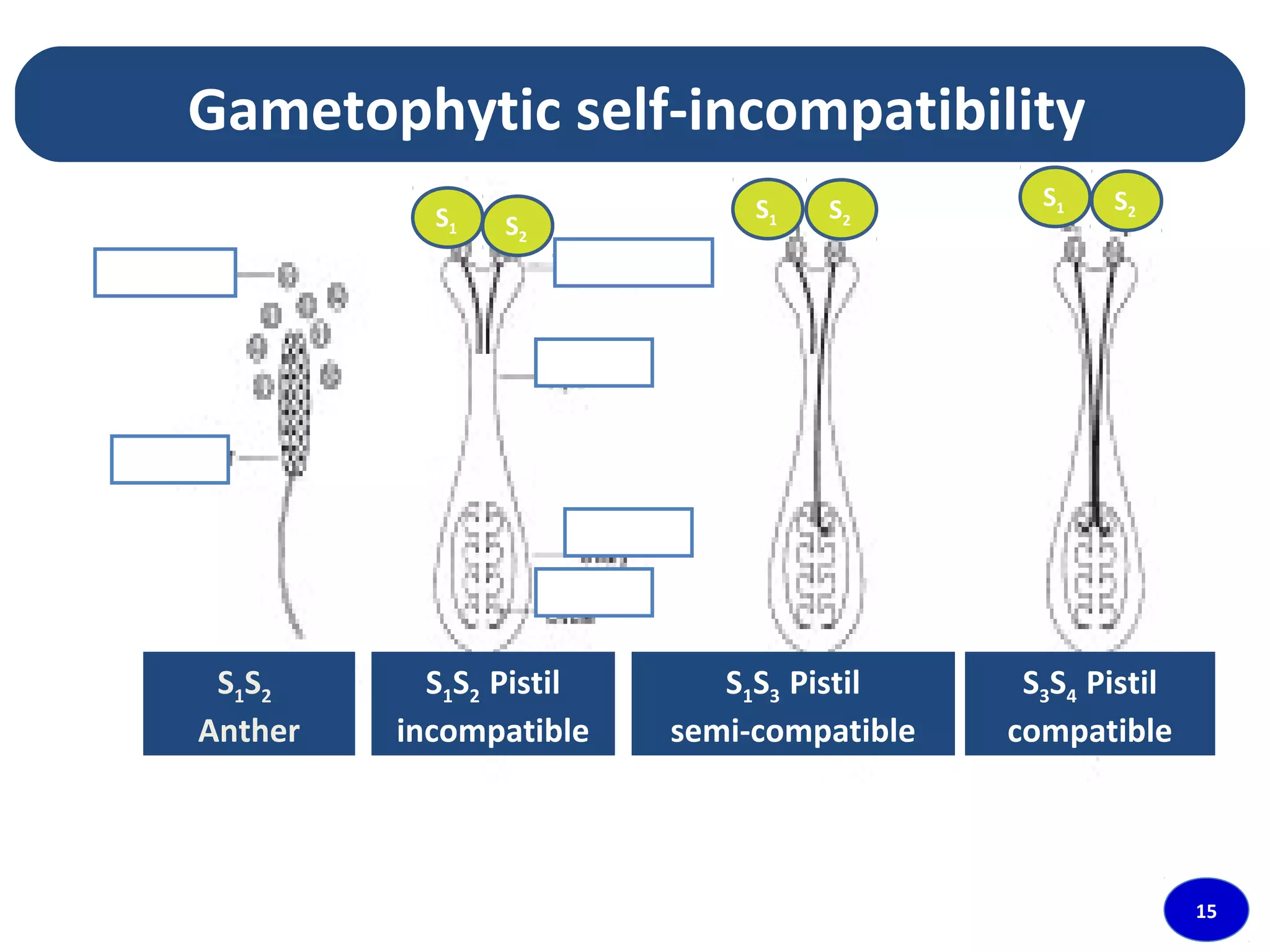 Self incompatibility in plants: a pollination control mechanism in ...