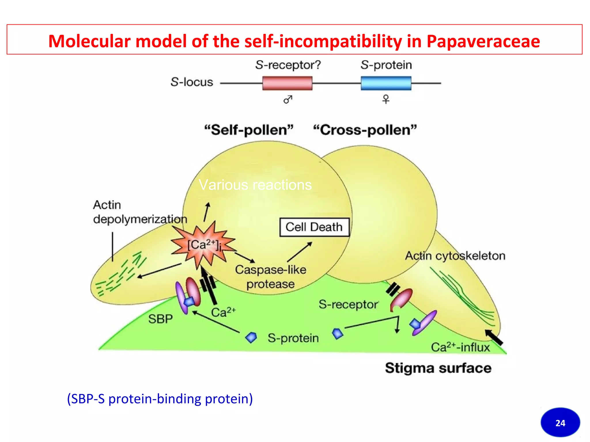 Self incompatibility in plants: a pollination control mechanism in ...
