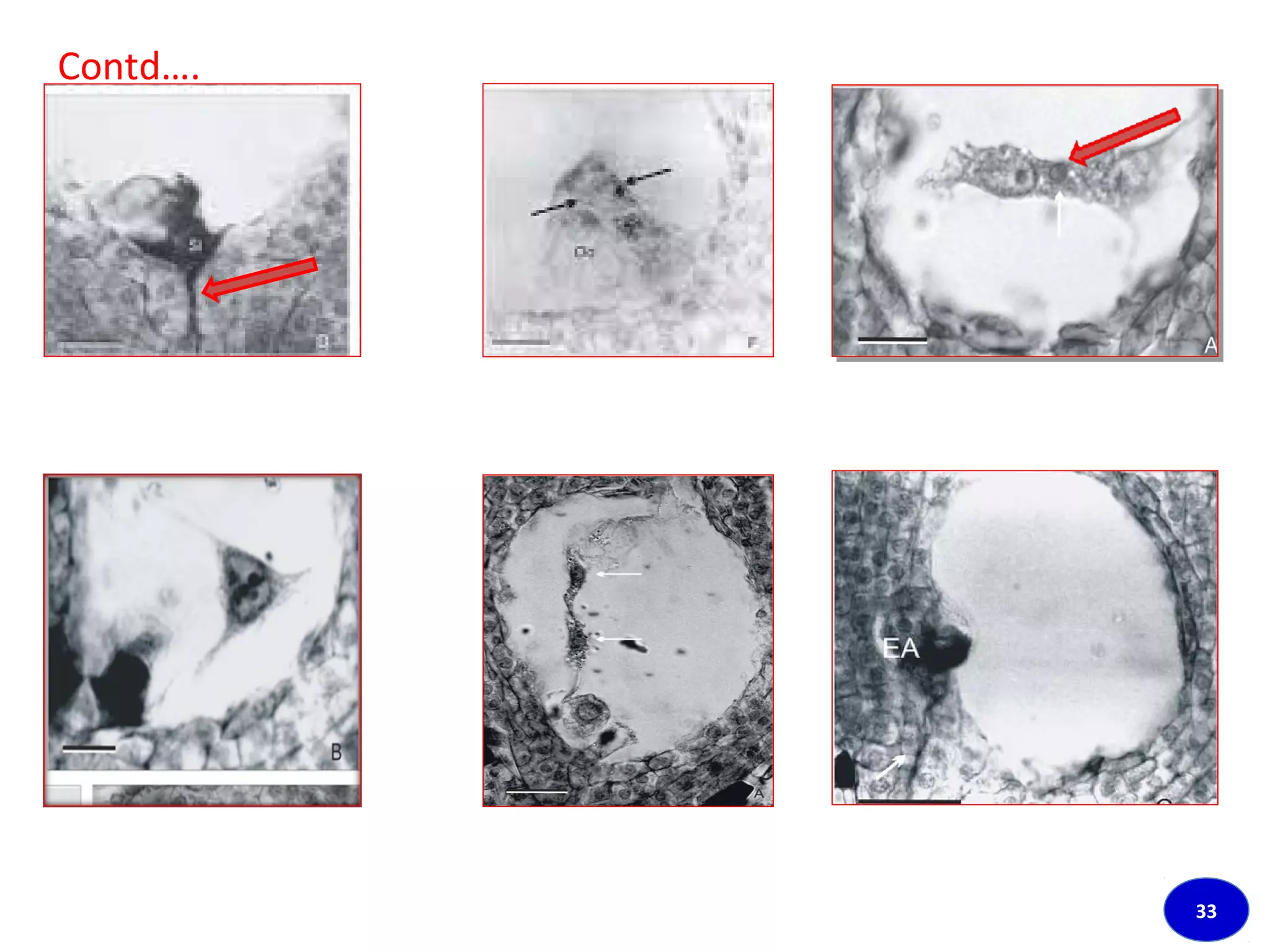 Self incompatibility in plants: a pollination control mechanism in ...