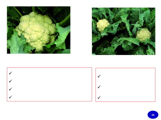 Self incompatibility in plants: a pollination control mechanism in ...