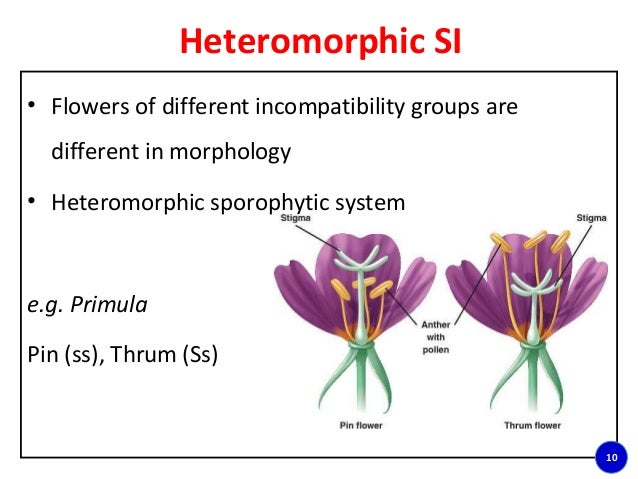 Self incompatibility in plants: a pollination control mechanism in pl…