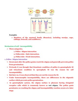 Self incompatibility PART 1.pdf