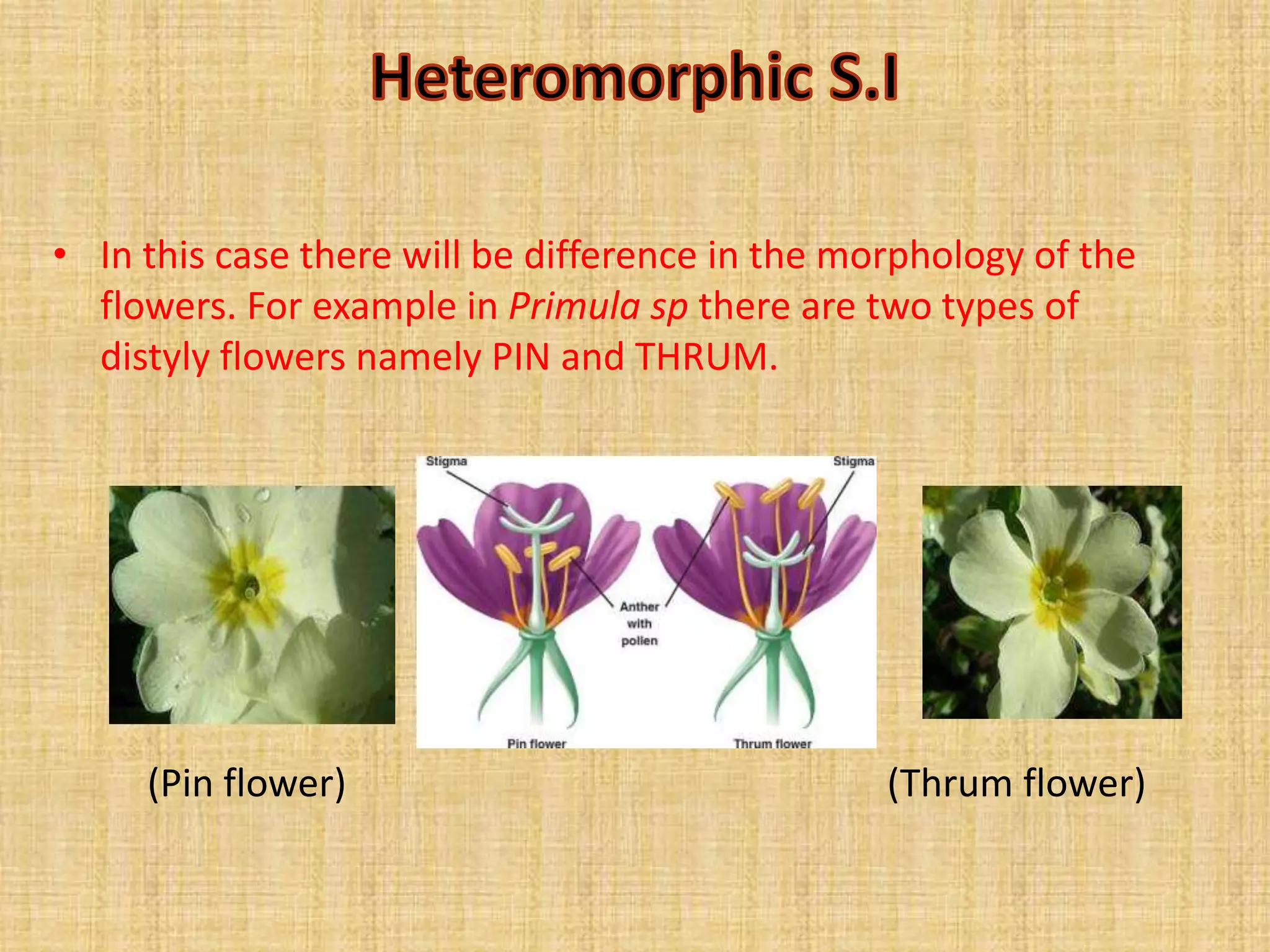 Self incompatibility ppt | PPTX
