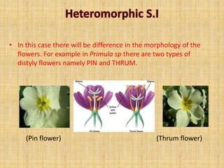 Self incompatibility ppt | PPTX