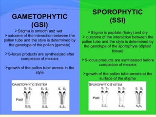 Self incompatibility ppt | PPTX