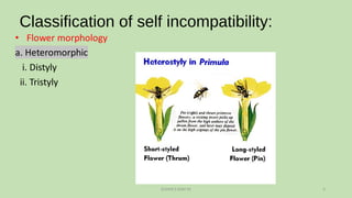 Self incompatibility sudha s | PPT