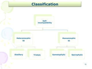 Self incompatibility used in hybrid seed production | PPT