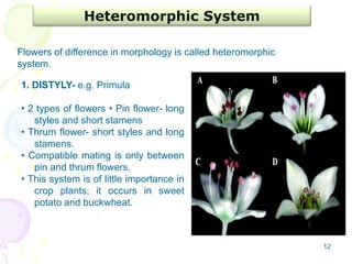 Self incompatibility used in hybrid seed production | PPT