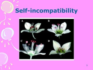 Self incompatibility used in hybrid seed production | PPT