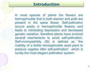 Self incompatibility used in hybrid seed production | PPT
