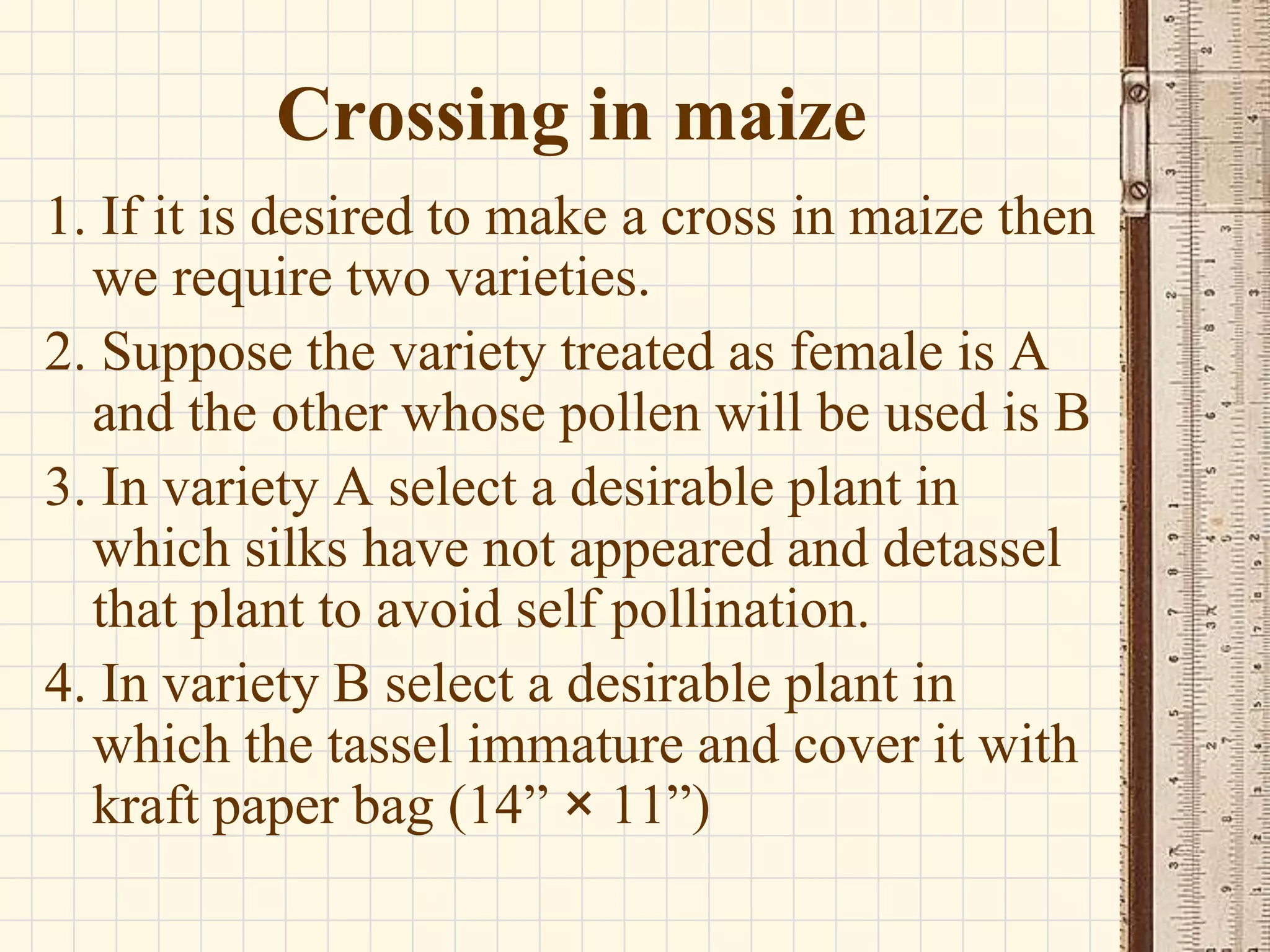 selfing and crossing in maize lecture note.ppt