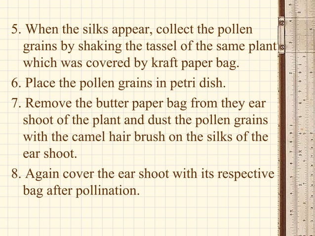 selfing and crossing in maize lecture note.ppt
