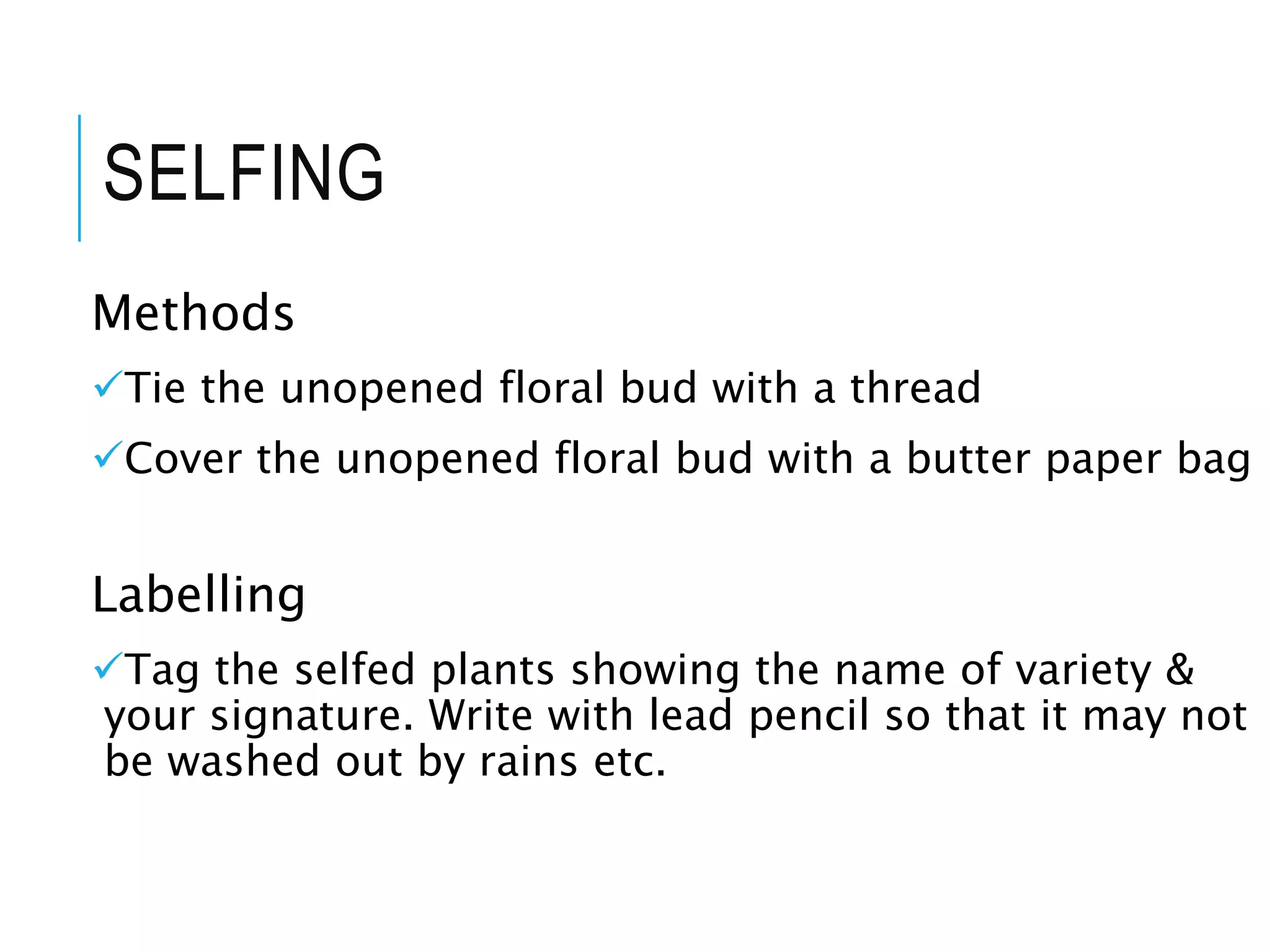 Selfing and crossing techniques in cotton | PPTX