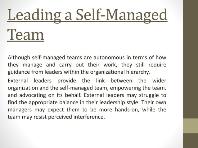 Self Managed Teams | PPTX | Executive Leadership & Management | Business