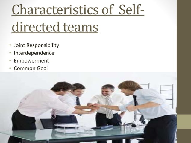 Self Managed Teams | PPTX | Executive Leadership & Management | Business