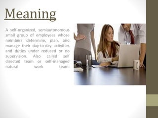 Self Managed Work Teams