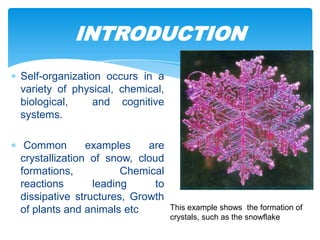 Self organization of nanostructured materials | PPTX