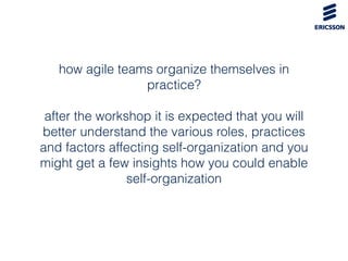 self organizing agile teams | PPT