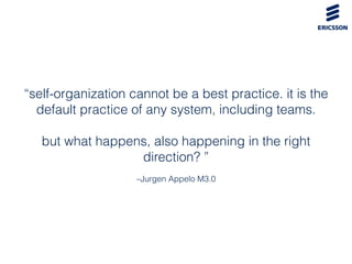 self organizing agile teams | PPT