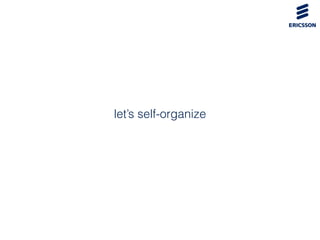 self organizing agile teams | PPT