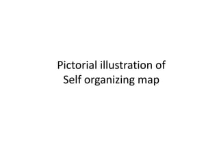 Self Organizing Maps | PPTX