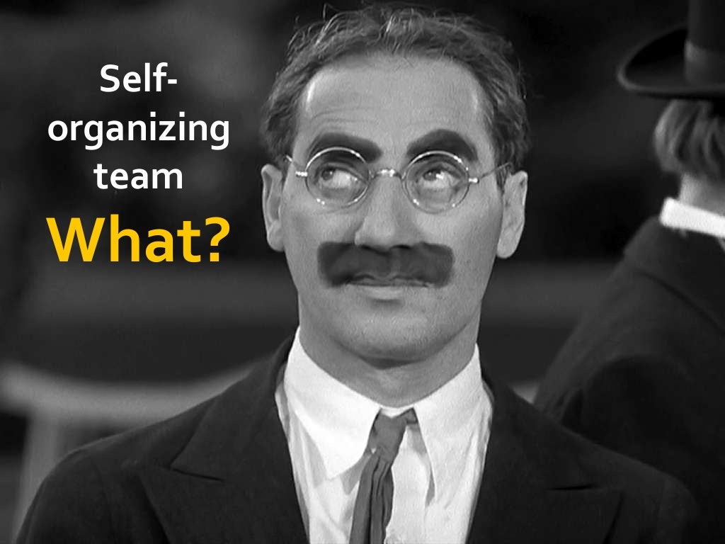 Self- organizing team What? Self- organizing team What?