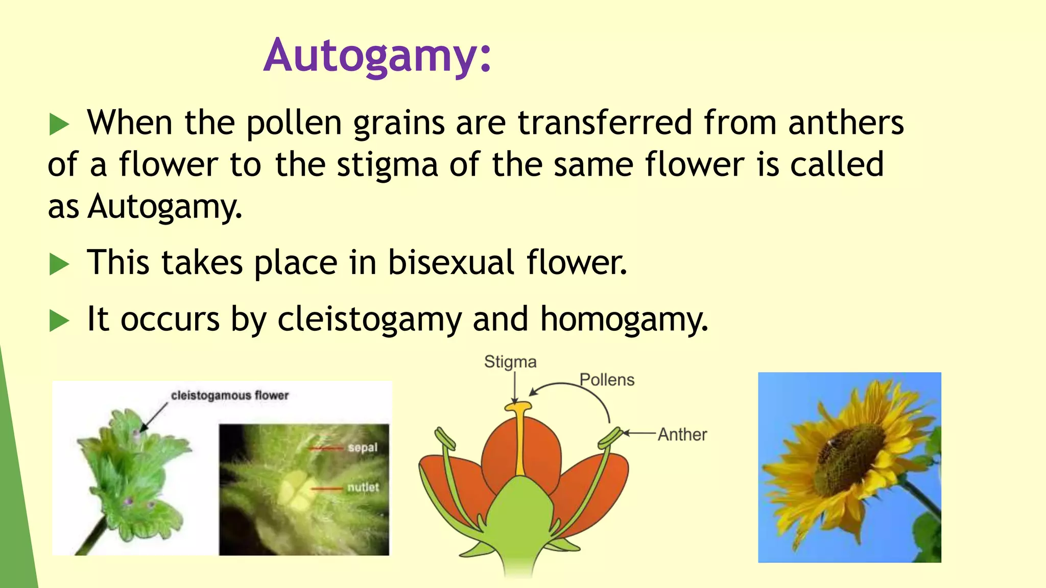 Self pollination | PPTX