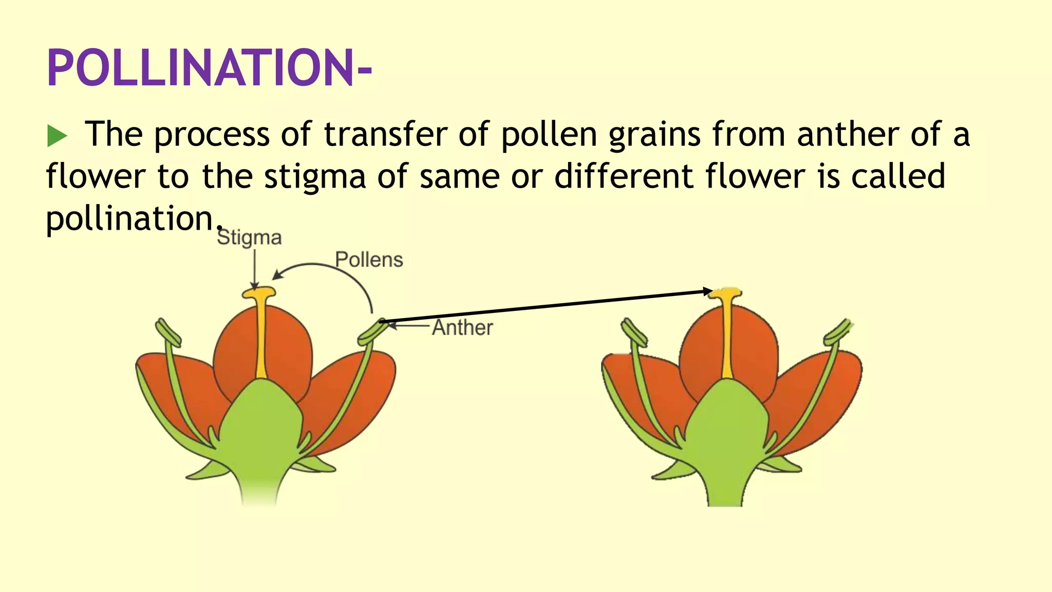 Self pollination | PPTX