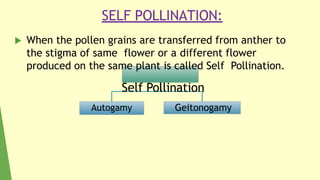 Self pollination | PPTX