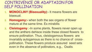 Self pollination | PPTX