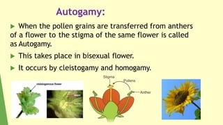Self pollination | PPTX