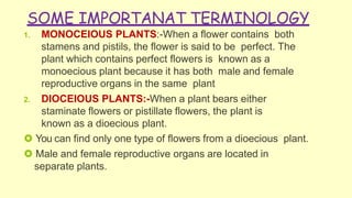 Self pollination | PPTX