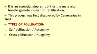 Self pollination | PPTX