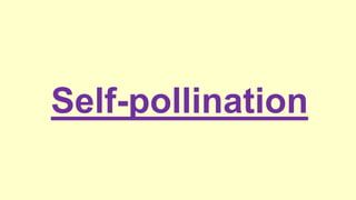 Self pollination | PPTX