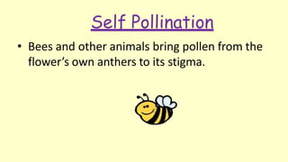 Self pollination | PPTX