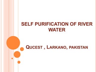Self purification of river water | PPTX
