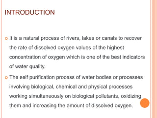 Self purification of river water | PPTX