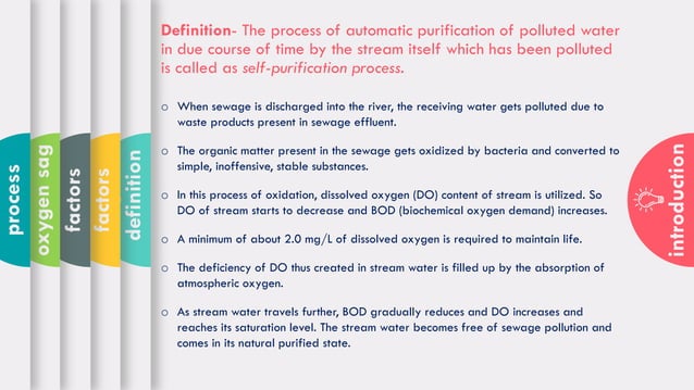 Self purification of stream new | PDF | Chemistry | Science