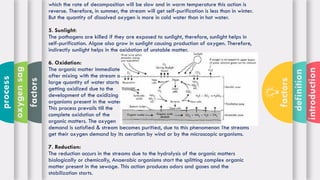 Self purification of stream new | PDF