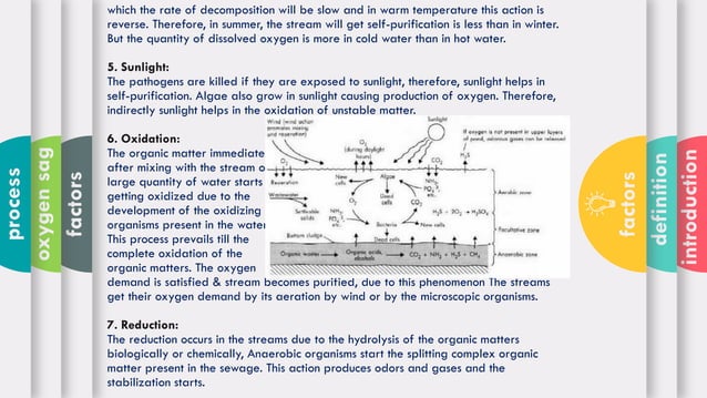Self purification of stream new | PDF | Chemistry | Science