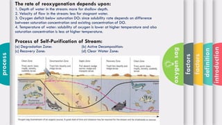 Self purification of stream new | PDF
