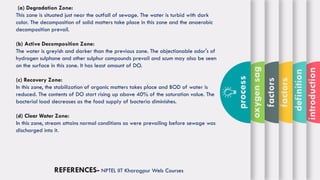 Self purification of stream new | PDF