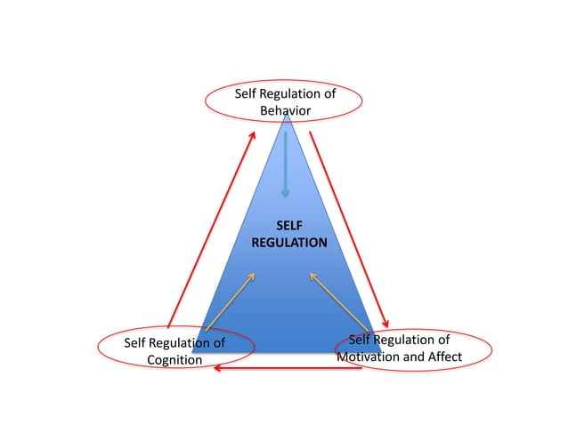 Self Regulation Theory & Strategies | PPTX