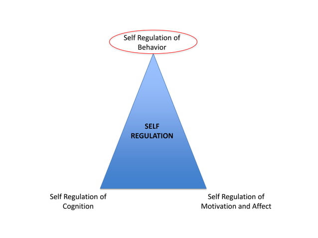 Self Regulation Theory & Strategies | PPTX