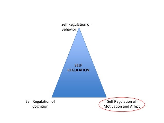 Self Regulation Theory & Strategies