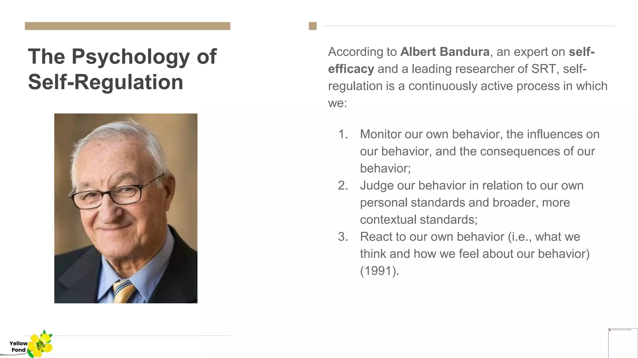 Self regulation | PPTX